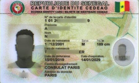 California Scannable Fake Id Front And Back - Buy Scannable Fake ID ...