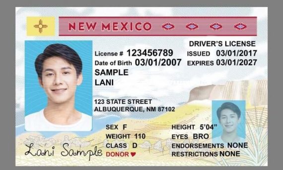 Fake New Mexico Id Scannable - Buy Scannable Fake ID Online - Fake ...